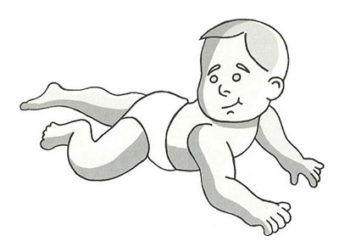 Amphibian, Spinal Galant and Spinal Pereze Reflex - BRMT Canada